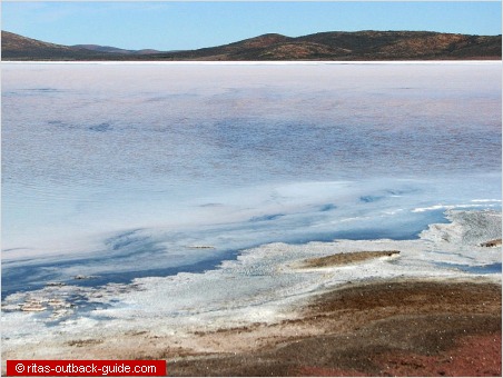 Lake Gairdner National Park Facts & Pictures