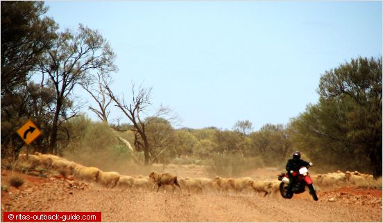 The Outback - a poem about life in Outback Australia