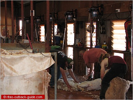The Outback - a poem about life in Outback Australia